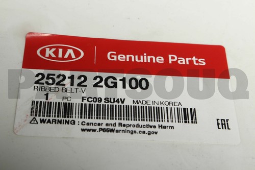 252122G100 Genuine Hyundai / KIA V-RIBBED BELT | eBay