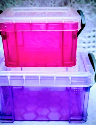(2) Really Useful Box 0.14 and .3 Litre Pink and Purple Snap Lid ...