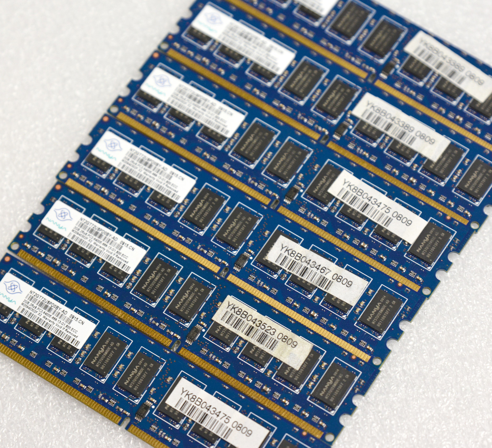 4GB 2x2 Ram Memory PC2-6400E-666-12 NT2GT72U8PD0BY-AD FSC TX150 S6 S154 ...