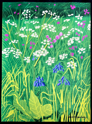 David Hockney Lithograph Handmade COA Signed Op Numbered Limited & | eBay