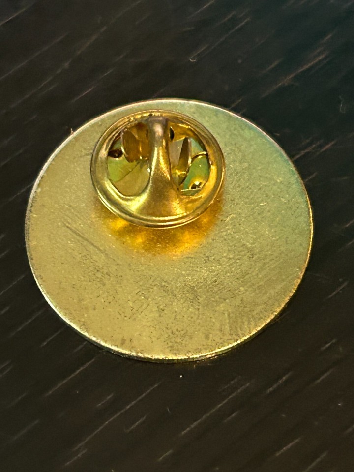 Vintage Collectible Palm Beach Co Elections 2006 Metal Pinback Lapel ...