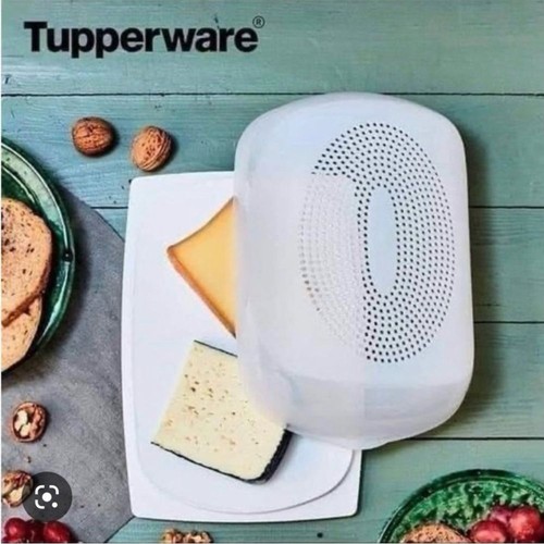 Tupperware CheeSmart Rectangular Cheese Smart Container Keeper Clear ...