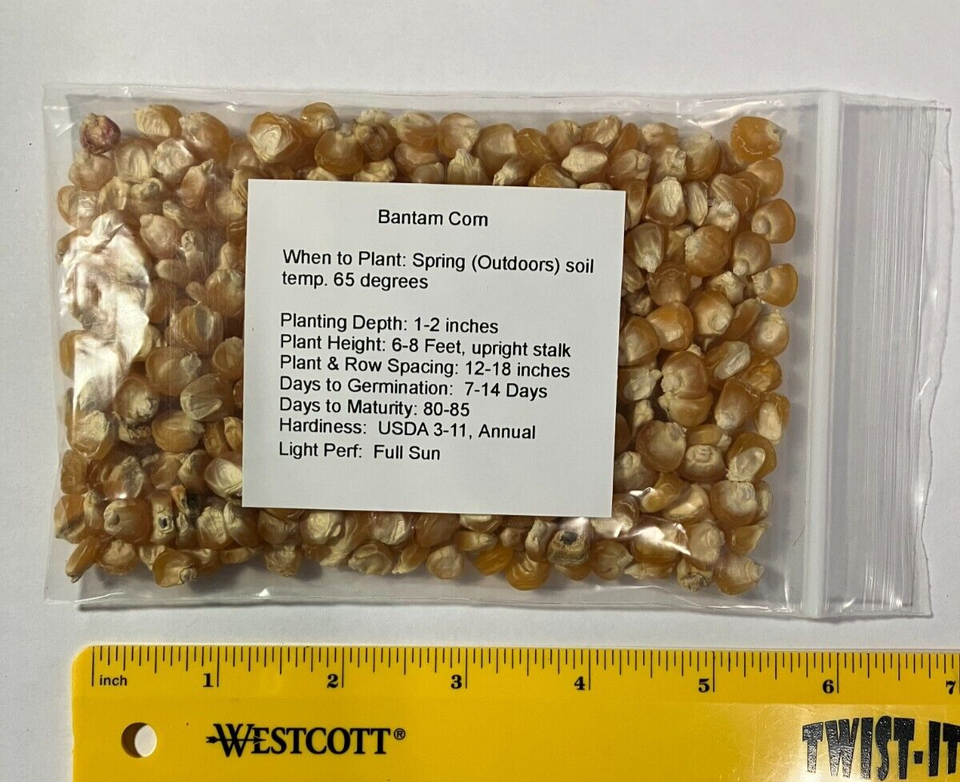 400+/- Golden Bantam Corn Seeds Non-GMO Heirloom Fresh Garden Seeds | eBay