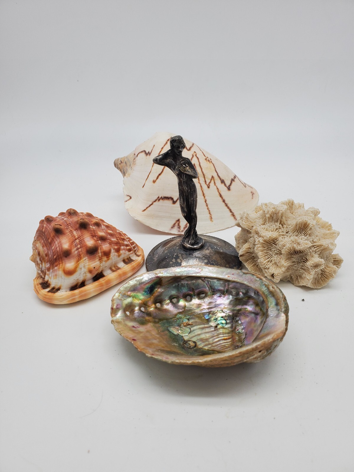 Lot Of Seashells Abalone Shell Coral Nautical Figural Woman Aphrodite ...