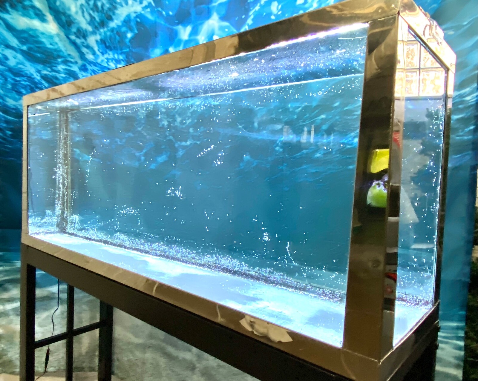 Large Aquarium Tanks