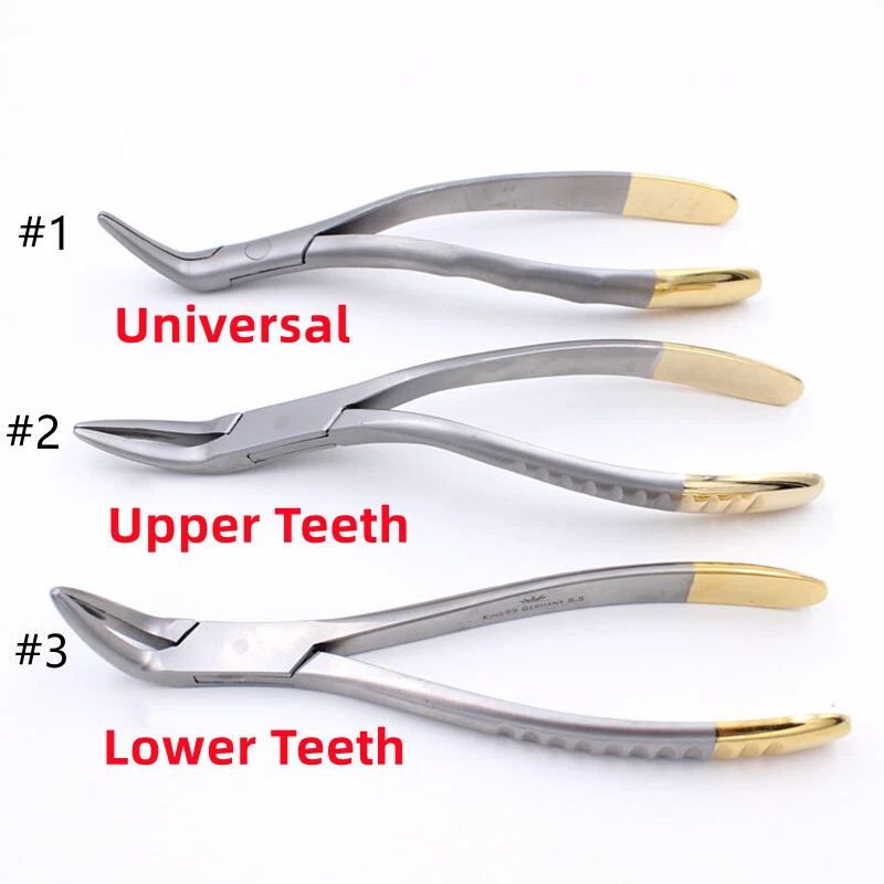 Dental Tooth Extraction Forceps Pliers Elevator Apical Root, 52% OFF