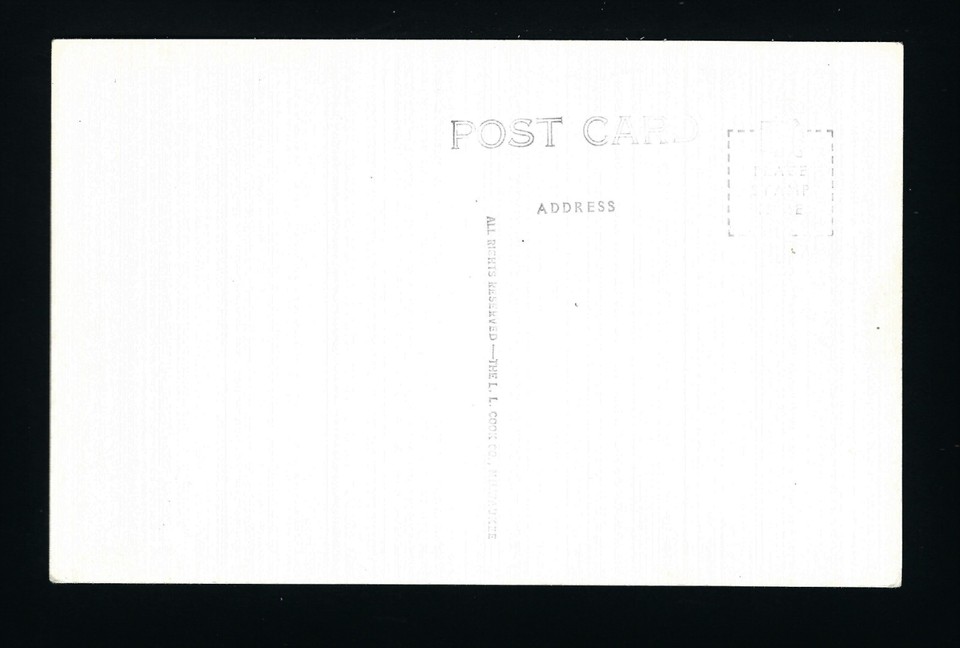 Ishpeming Michigan MI c1939 Ski Jumping Slide, Landing Hill, Big Crowd ...