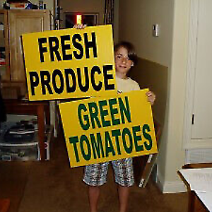 Reflective Pro | eBay Stores