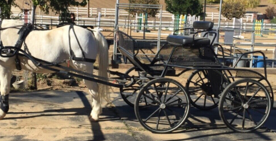 MARATHON CARRIAGE BY PACIFIC CARRIAGE CANADA-LARGE PONY/SMALL HORSE ...
