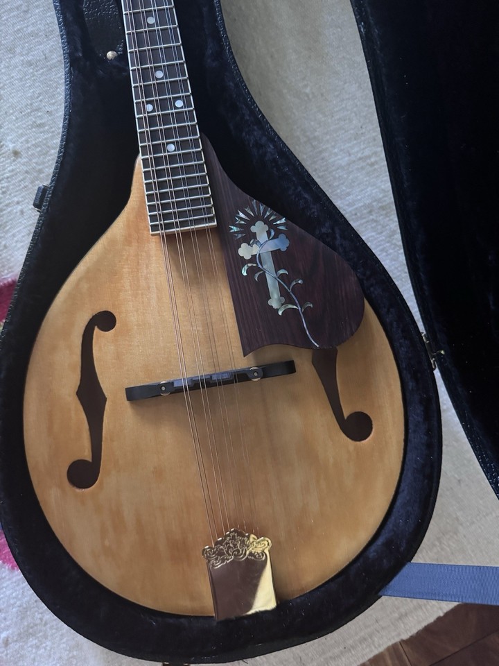 Custom Built Christian Themed Mandolin | eBay