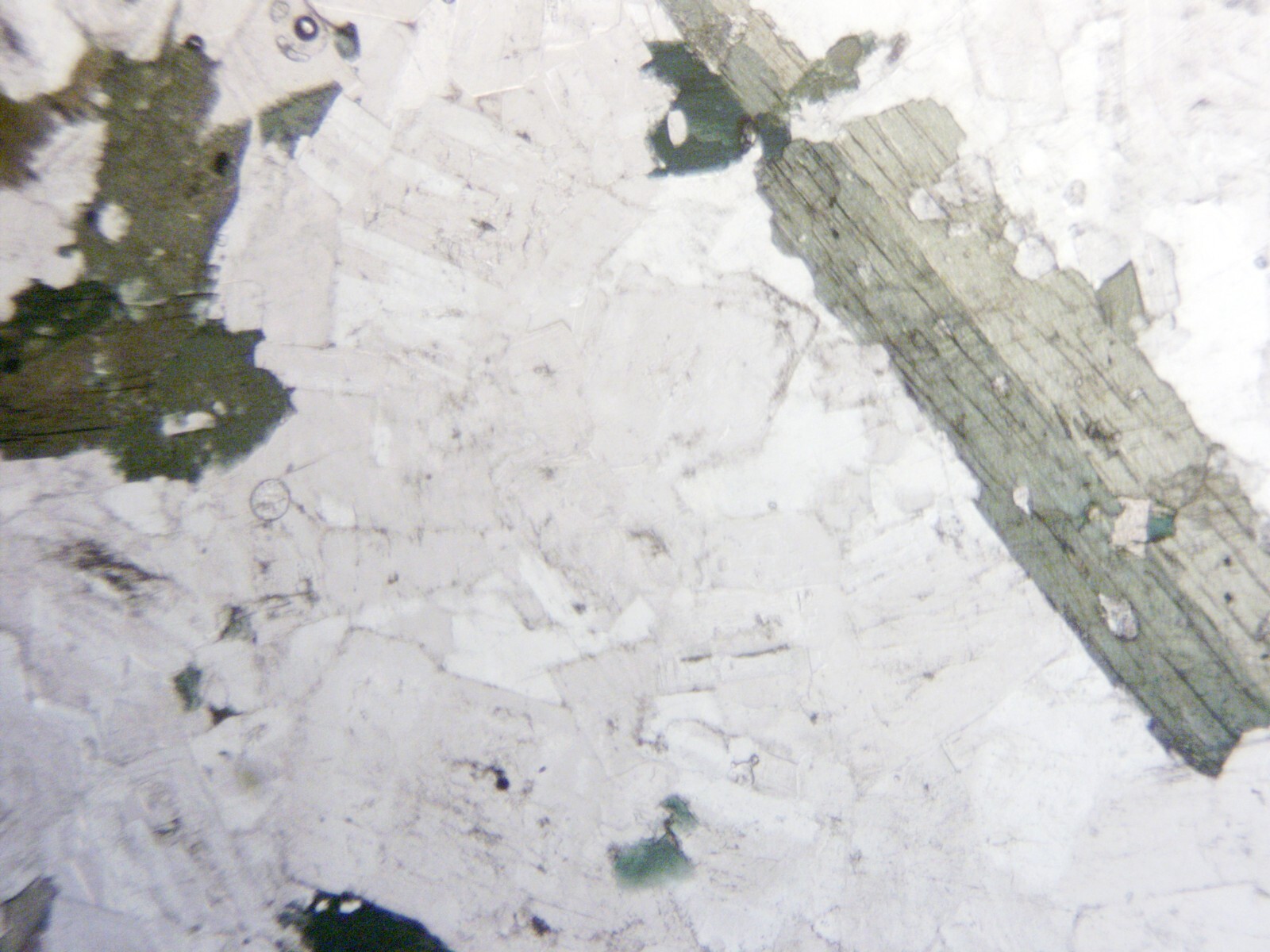 Geological Microscope Slide on request -Quartz Diorite, Tyrol, Austria ...
