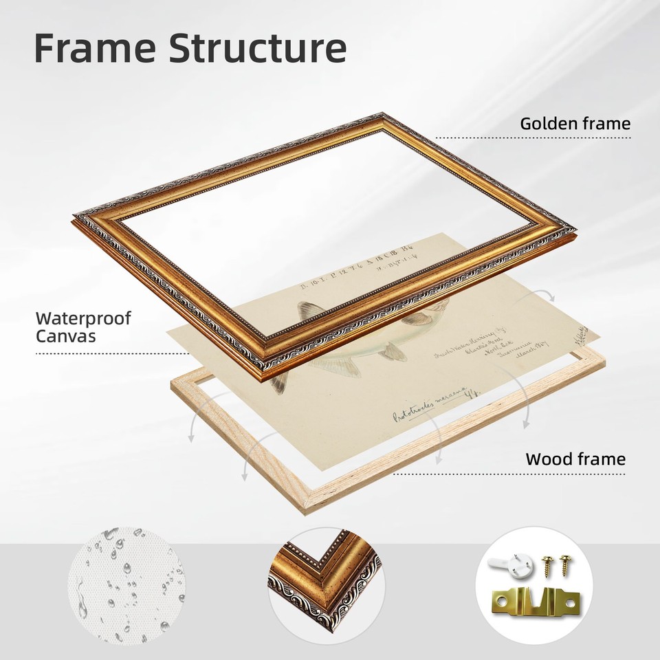 Freshwater Herring Fish Wall Art Canvas Oil Paintings Reproduction | eBay