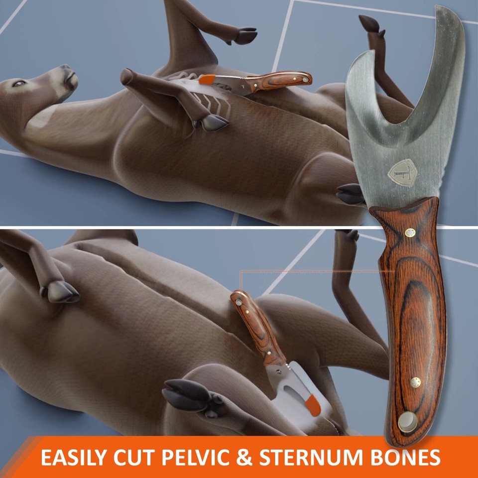 FIELDTORQ Super Tool | Skinning Knife | Gut Hook | Bone Cutting | Flesh ...