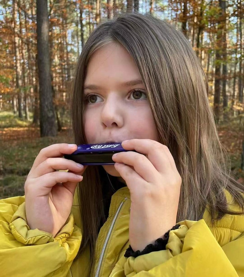 EASTTOP T002 Diatonic Harmonica 10Hole 20Tone Blues Harmonica Key C Mouth Organ | eBay