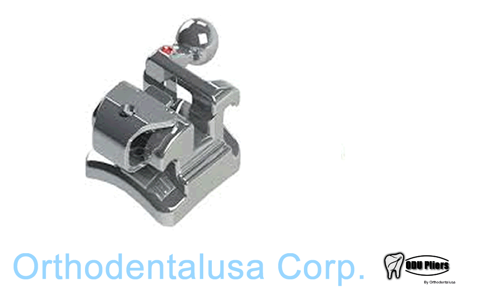 BRACKET CASE SELF LIGATING ROTH .022 PAK/20 / MORELLI / 1014900 / SLI ...