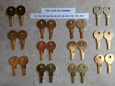 APG A1-A10 Cash Drawer Key Pair Fits Radiant Systems HP Dell PAR Wincor ...