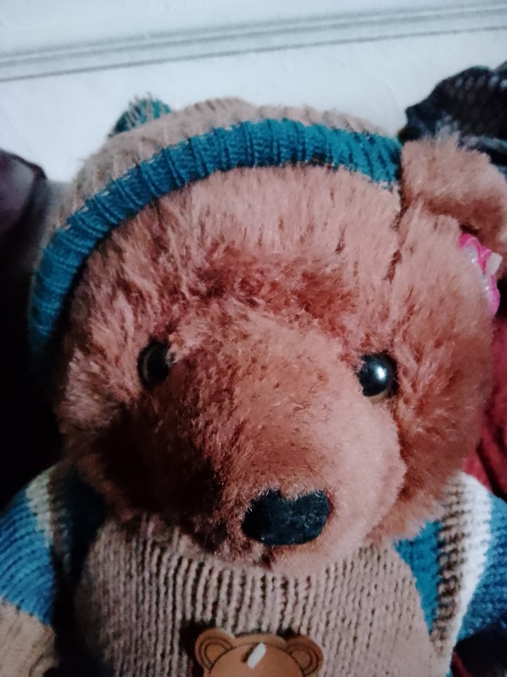 Dan Dee Vintage "Special Touch" Bear | eBay UK