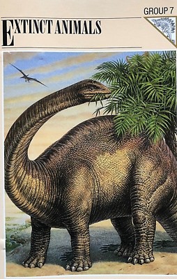 Wildlife-Fact-File-Extinct Animals-Wild Animals-School-Nature-From 1 to ...