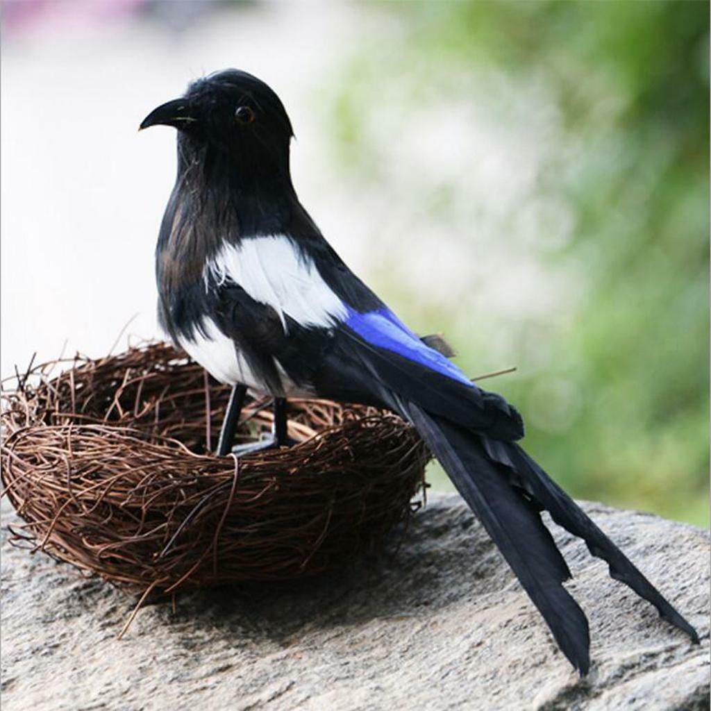 .Artificial Magpie Bird Realistic Taxidermy Home Garden Decoration Toy ...
