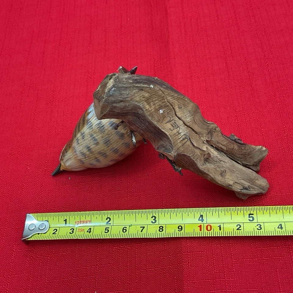 LOT Wooden Hand Carved /Painted Birds Folk Art On Driftwood Glass Eyes ...