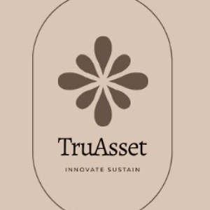 TruAsset Solutions | eBay Stores