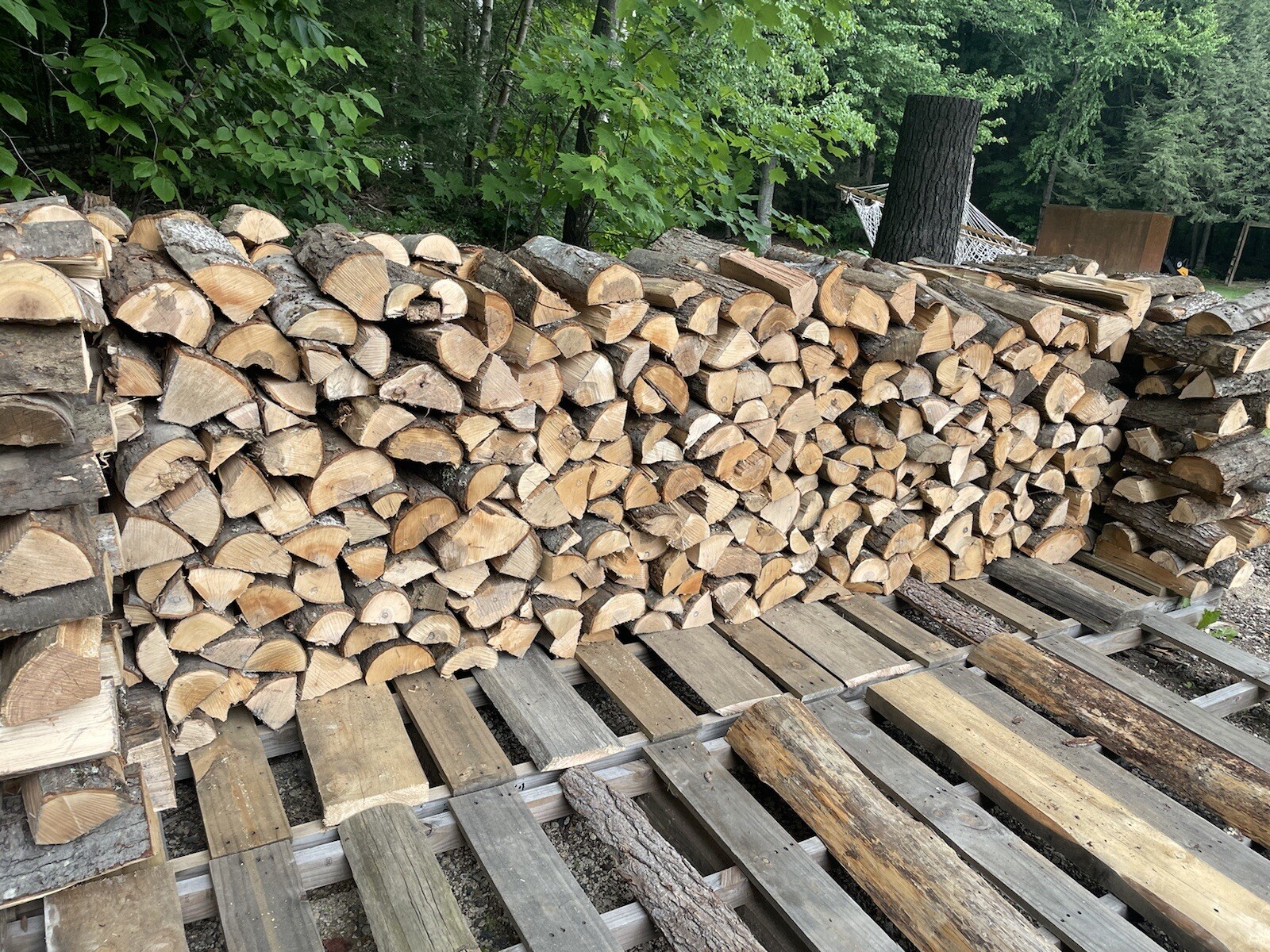 Seasoned Firewood For Sale $350 Per Cord And $250 Per 1/2 Cord | eBay