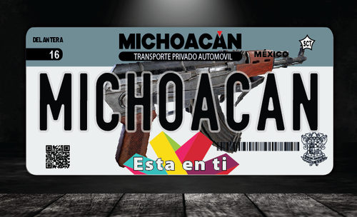 CUSTOM Mexican License Plate / Placas mexicanas personalizadas | eBay