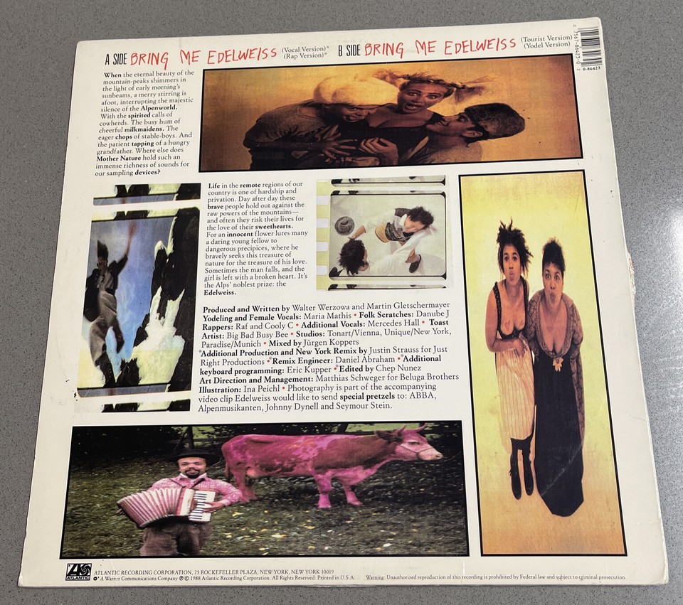 Edelweiss 1988 Bring Me Edelweiss Vinyl Record | eBay