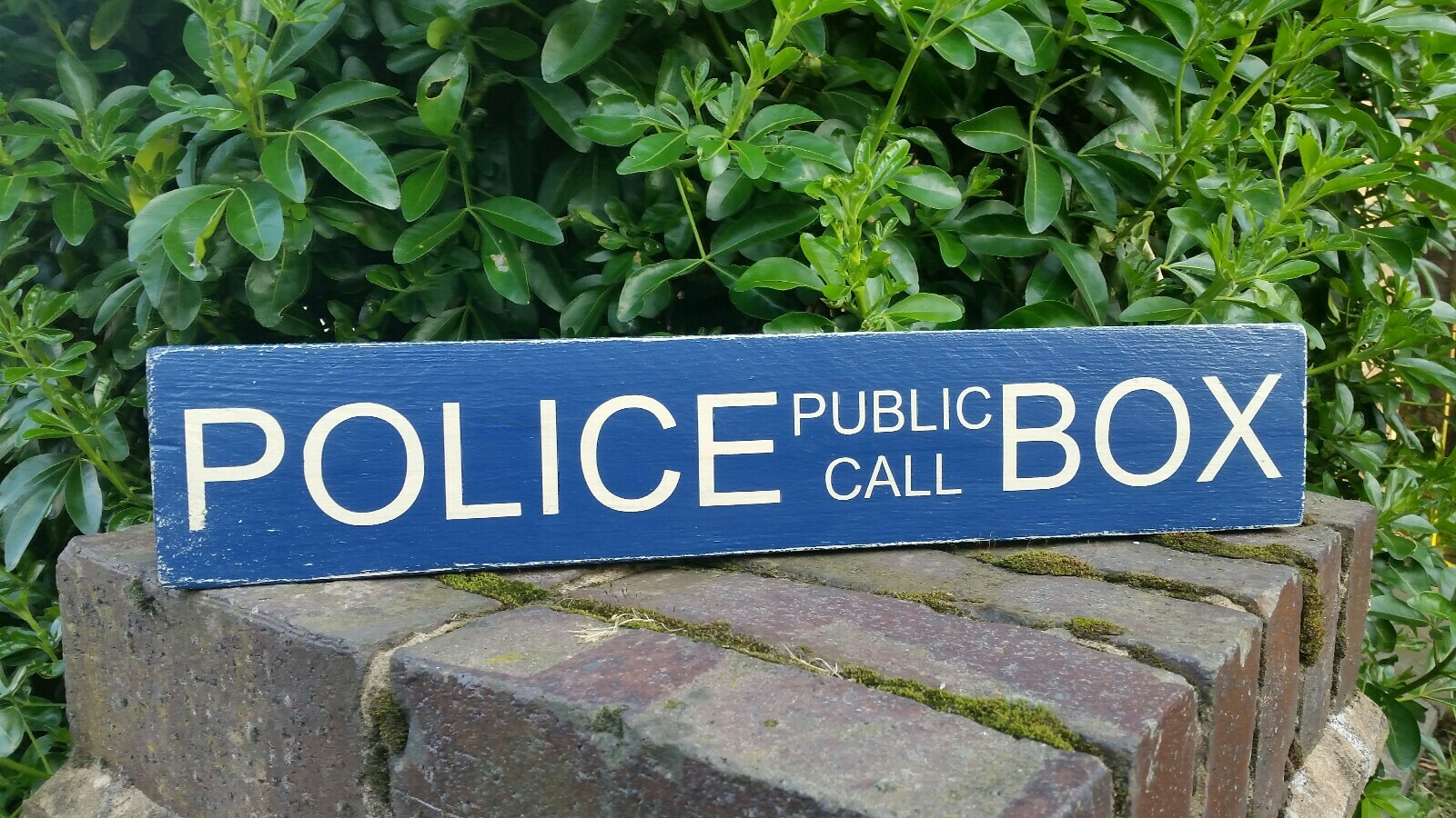 DR WHO POLICE PUBLIC CALL BOX TARDIS Door Sign NEW | eBay UK