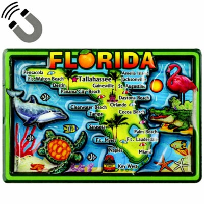 Florida Map Dual Layer MDF Magnet 2.25" x 3.5" | eBay
