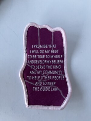 Ranger Guide Salute With Promise Badge | eBay UK