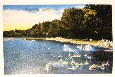 A Familiar Sight at Baron Lake Near Niles Mich Postcard | eBay
