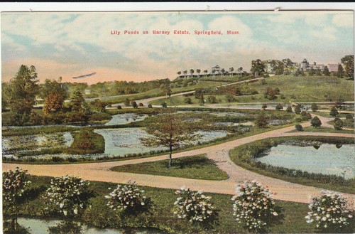 View Overlooking Lily Ponds on Barney Estate Springfield MA Vintage ...