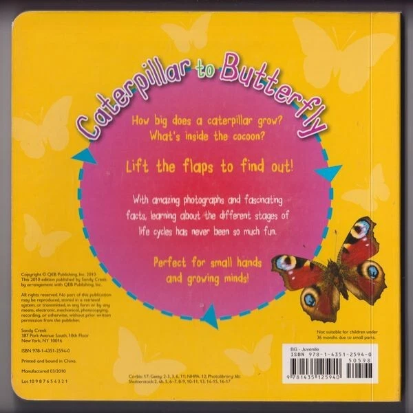 Caterpillar To Butterfly Book
