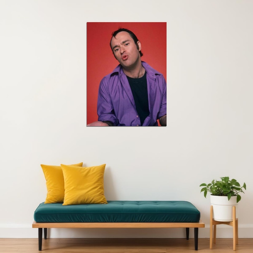 380947 Laverne and Shirley Cast David Lander Squiggy 1970's WALL PRINT POSTER US | eBay