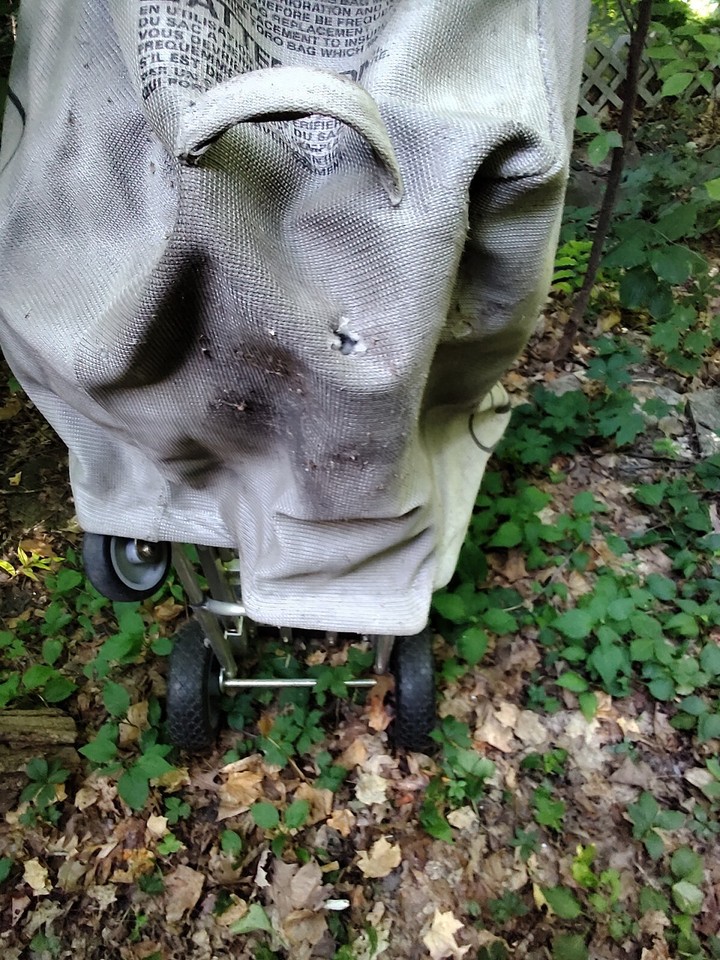 TORO mower rear bag+rear adjustable height DeThatcher attachmnt for ...