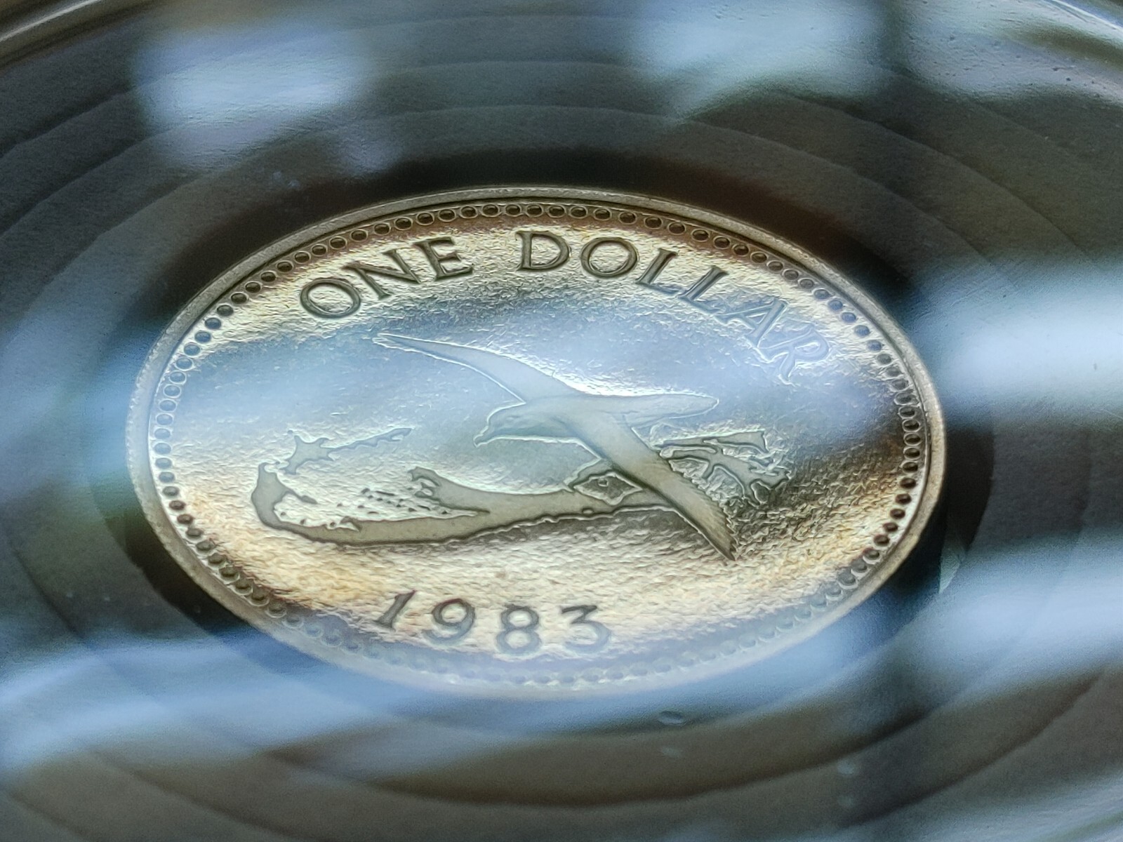 Rare Rainbow Toned edge Cameo 1983 PROOF ONE DOLLAR COIN, brass gem ...