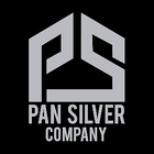 Pan Silver Company | eBay Stores