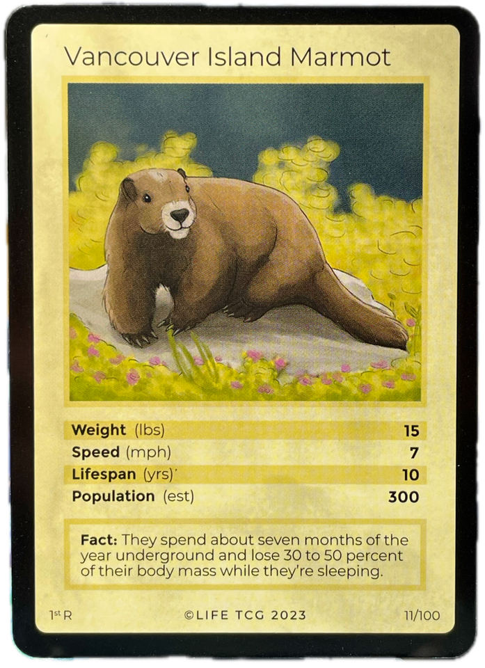 LIFE TCG 1st Edition Mammals - Choose Your Card! Rare #1-#25 | eBay
