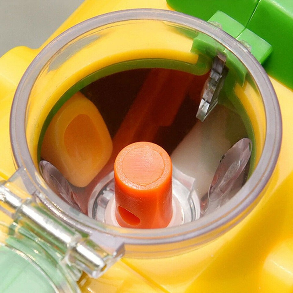 Pump Action Salt Shotgun Pest Killer Toy Gun Bug insects killer Fly ...