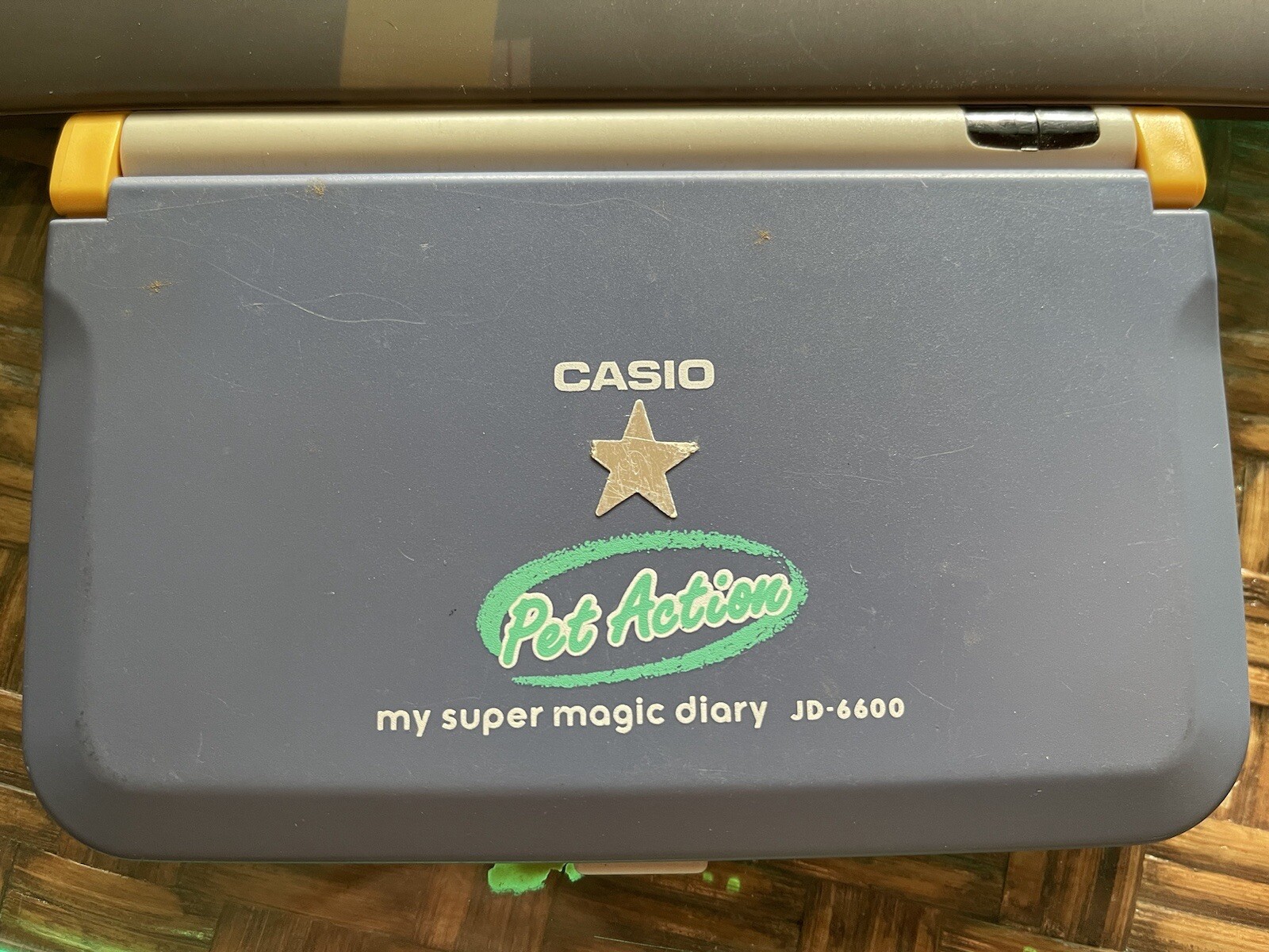 Casio Pet Action JD-6600 My Super Magic Diary | eBay