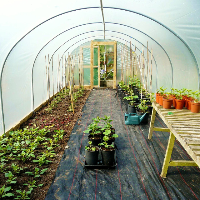 Premier Polytunnels Ltd | eBay UK Stores