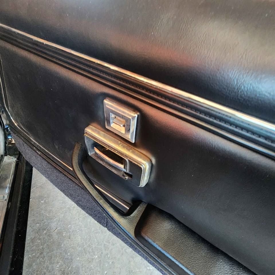 1979 Pontiac Firebird Iconic 400 V8 engine, LIMITED EDITION | eBay