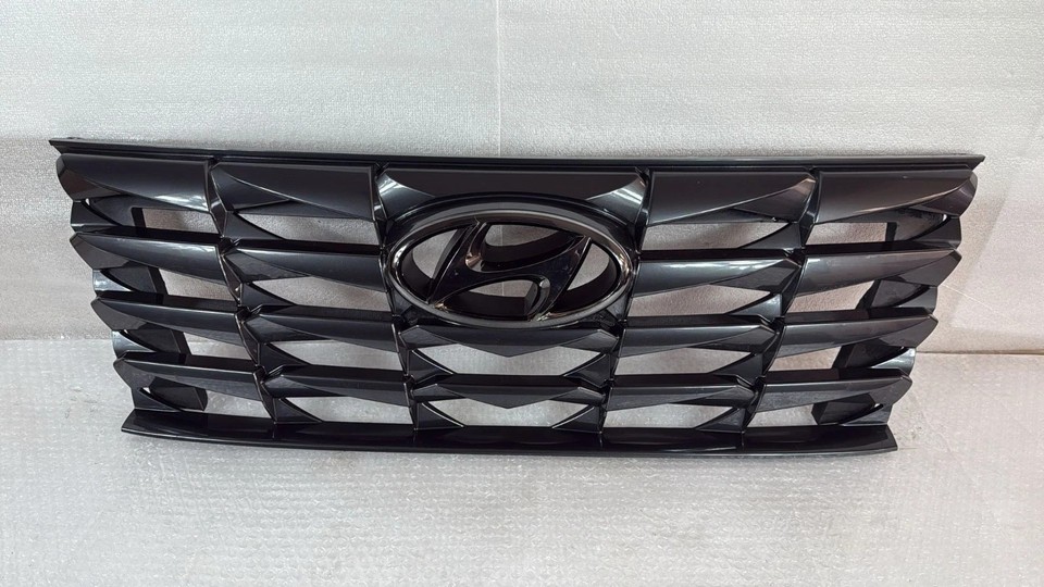 GENUINE OEM ® Grille Assembly Radiator For 2022-2024 HYUNDAI TUCSON ...