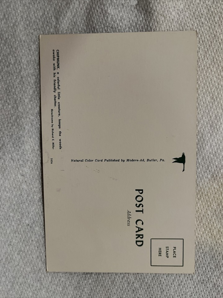 Vintage RPPC Postcard! Chipmunk On A Tree! Butler, Pennsylvania! Oc2835 ...