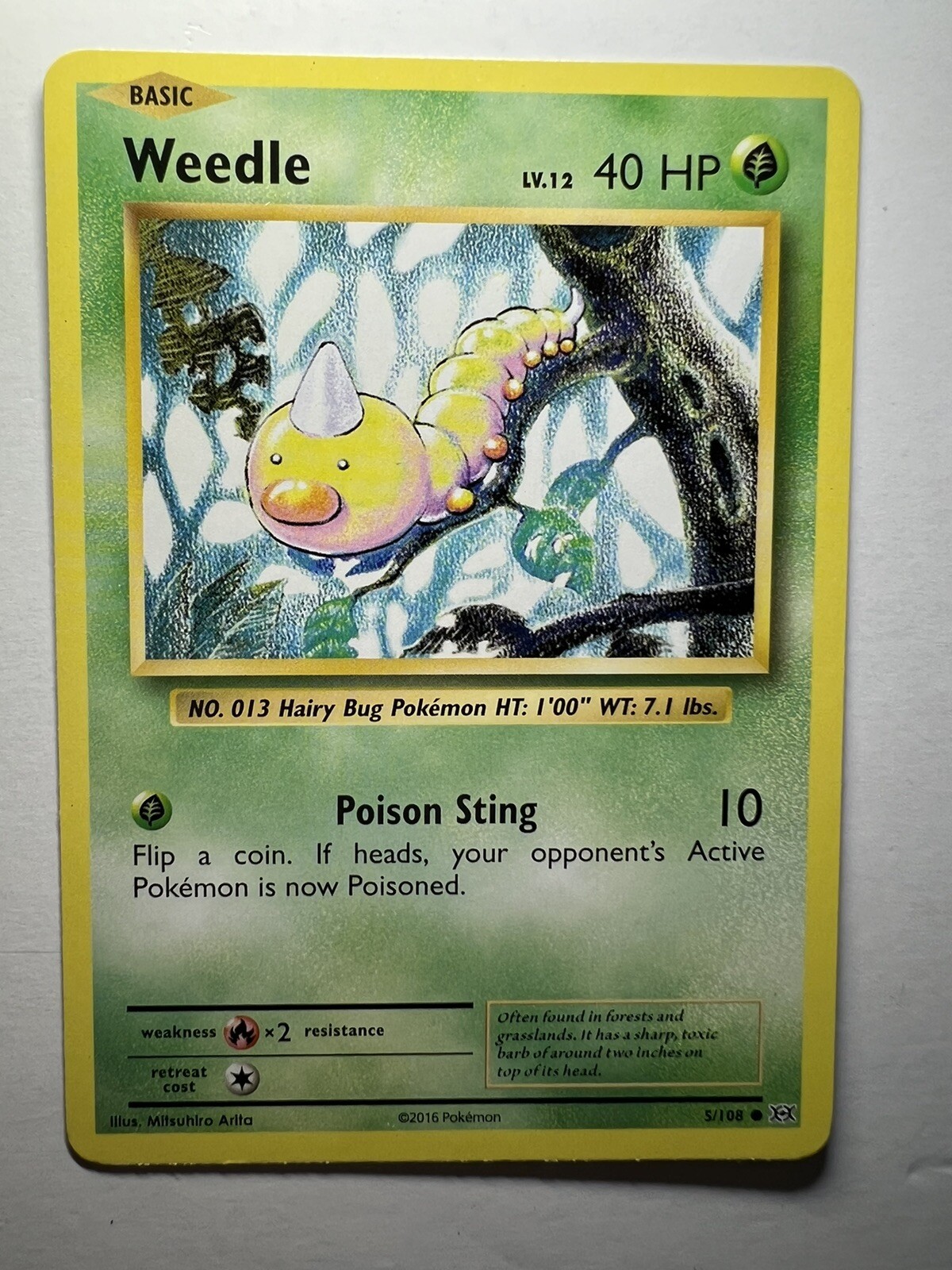 WEEDLE - 5/108 - XY Evolutions - Pokemon Card - | eBay