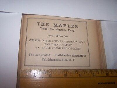 1919 Talbot Cunningham THE MAPLES Hogs Cattle Ad MARSHFIELD INDIANA Lot ...