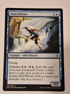 Aven Initiate - Amonkhet - Magic the Gathering MTG Nice! | eBay