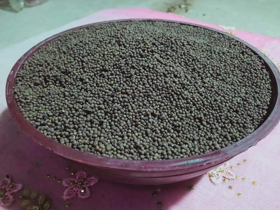 Pure Natural Water Lily Rice (Olu Rice/Nymphaea Pubescens) 100% Organic ...