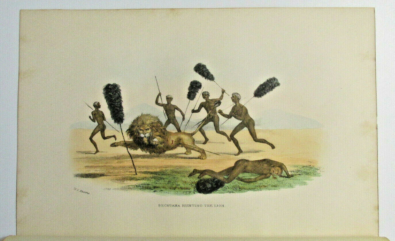William Cornwallis Harris "Bechuana Hunting The Lion" 1852 Africa ...